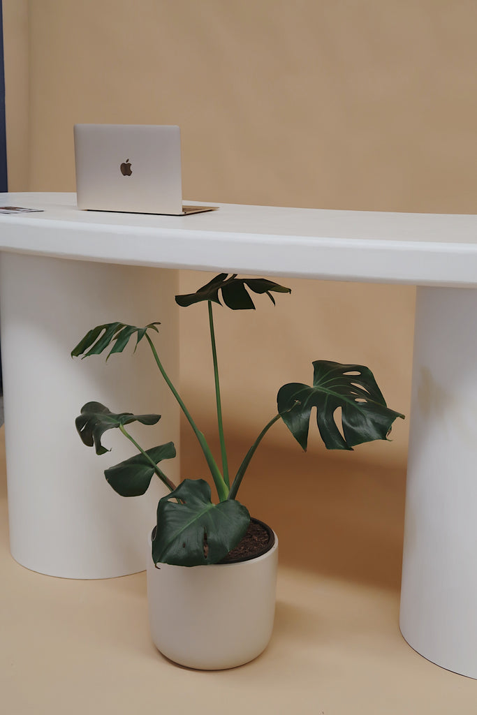 Zani Contour Service Desk – Chaii. Living